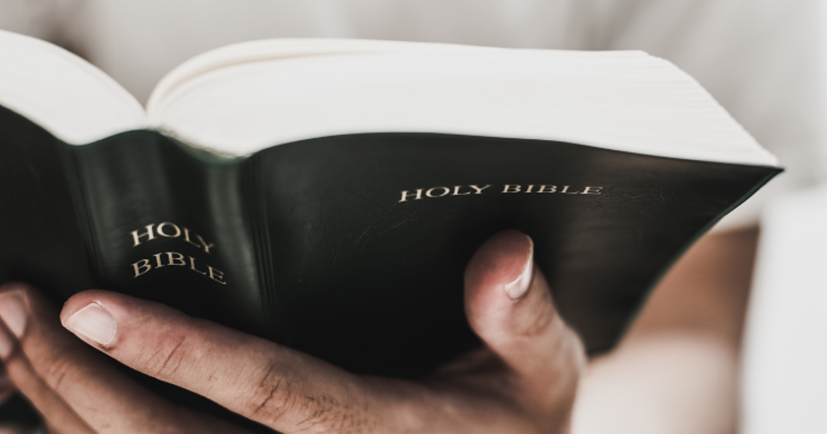 Ron Pearce | The Holy Bible — Wholly True (Test)